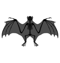 Bat skeleton Royalty Free Vector Image - VectorStock