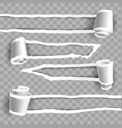 Torn paper realistic Royalty Free Vector Image