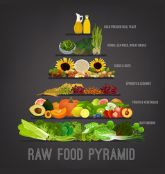 Healthy foods pyramid Royalty Free Vector Image