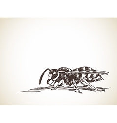 Realistic wasp Royalty Free Vector Image - VectorStock