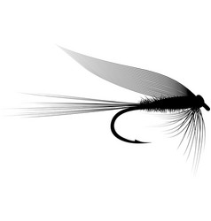 Dry fly Royalty Free Vector Image - VectorStock