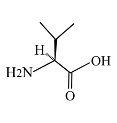 Valine amino acid chemical molecular formula Vector Image