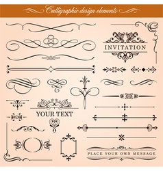 Calligraphic design elements and page decoration Vector Image