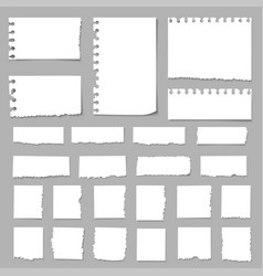 Notebook papers with torn ripped edge set Vector Image