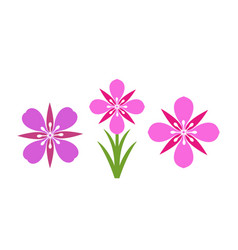 Fireweed Vector Images (over 130)