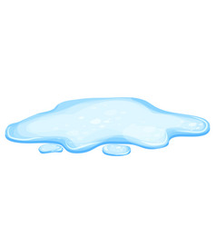 Water puddle in cartoon style isolated on white Vector Image