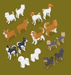 Dog Isometric Vector Images (over 9,700)