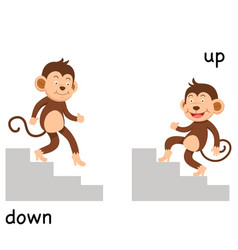 Opposites Up Down Vector Images (over 260)