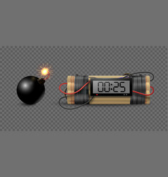 Bomb with timer Royalty Free Vector Image - VectorStock