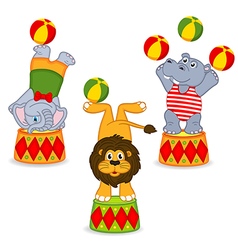 Circus equipment collection set Royalty Free Vector Image