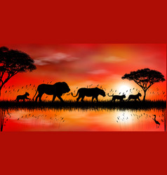 Savanna animals on a background a sunset sun Vector Image