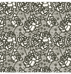 Net lace with dot Royalty Free Vector Image - VectorStock