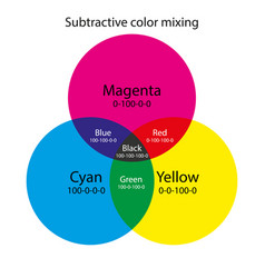 Additive color mixing scheme rgb colors theory Vector Image