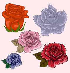 Flower set with redorange and pink roses Vector Image