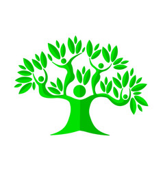 Green color family nature tree Royalty Free Vector Image