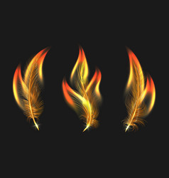 Fire peacock feather Royalty Free Vector Image