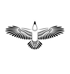 Engraving stylized hawk on white background Vector Image