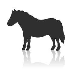 Pony Logo Red Vector Images (50)