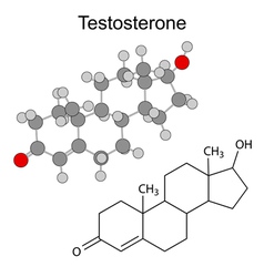Chemical formulas testosterone molecule Royalty Free Vector