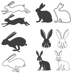 Hare Vector Images (over 50,000)