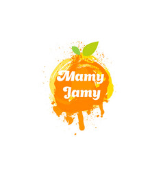 Jam logo and emblem fresh fruits and splashes Vector Image
