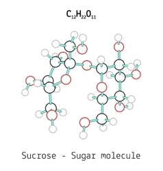 C12h22o11 sucrose sugar molecule Royalty Free Vector Image