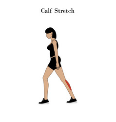 Body stretch exercises Royalty Free Vector Image