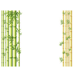 Nature background design with bamboo Royalty Free Vector