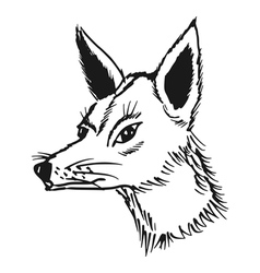 Jackal Royalty Free Vector Image - VectorStock