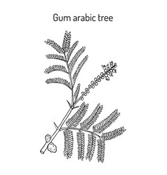 Arabic Vector Images (over 320,000)