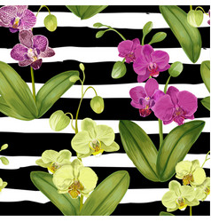 Orchid summer tropical flower Royalty Free Vector Image