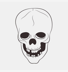Skull drawing line work Royalty Free Vector Image