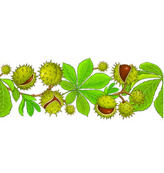 Chestnut drawing engraving ink line art Royalty Free Vector