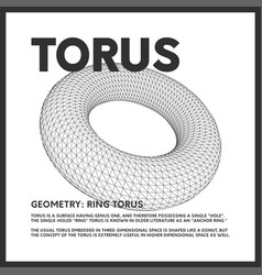 Torus Connection Structure Royalty Free Vector Image