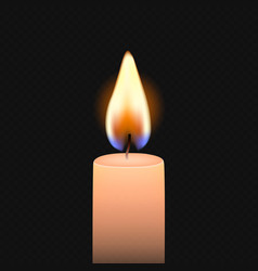 Candle flame fire light isolated background Vector Image
