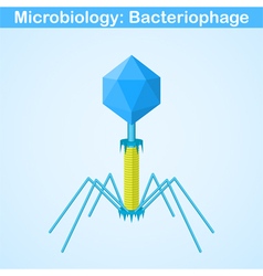 Bacteriophage Royalty Free Vector Image - VectorStock