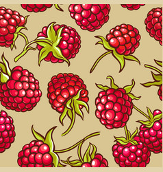 Raspberry set Royalty Free Vector Image - VectorStock