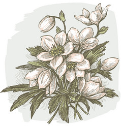 Hand drawing of a bouquet of spring flowers Vector Image