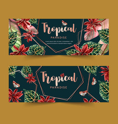 Banner design with butterfly and tropical plants Vector Image