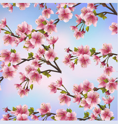 Background wooden texture with branch of sakura Vector Image