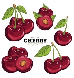Cherry set Royalty Free Vector Image - VectorStock