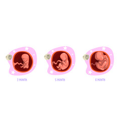Baby development stages milestones first one year Vector Image