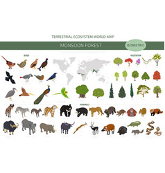 Monsoon forest biome natural region infographic Vector Image