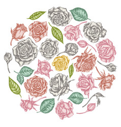 Round floral design with colored roses Royalty Free Vector