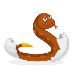 Snake Egg Hatching Vector Images (54)