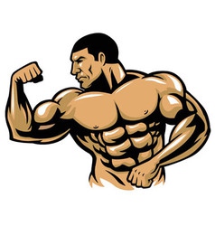 Muscle bodybuilder back pose Royalty Free Vector Image