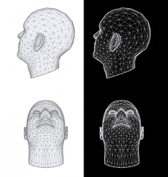 Isolated on white human face mesh 3d modeling Vector Image