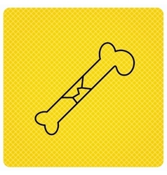 Bone fracture icon Traumatology sign Royalty Free Vector