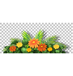 Bush with yellow flowers Royalty Free Vector Image