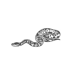 Ball Python Vector Images (44)